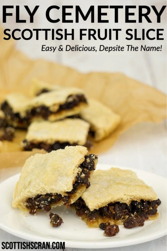 Fly Cemetery: Scottish Fruit Slice Recipe - Scottish Scran