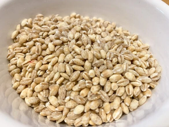 Traditional Scotch Broth Recipe - Scottish Scran